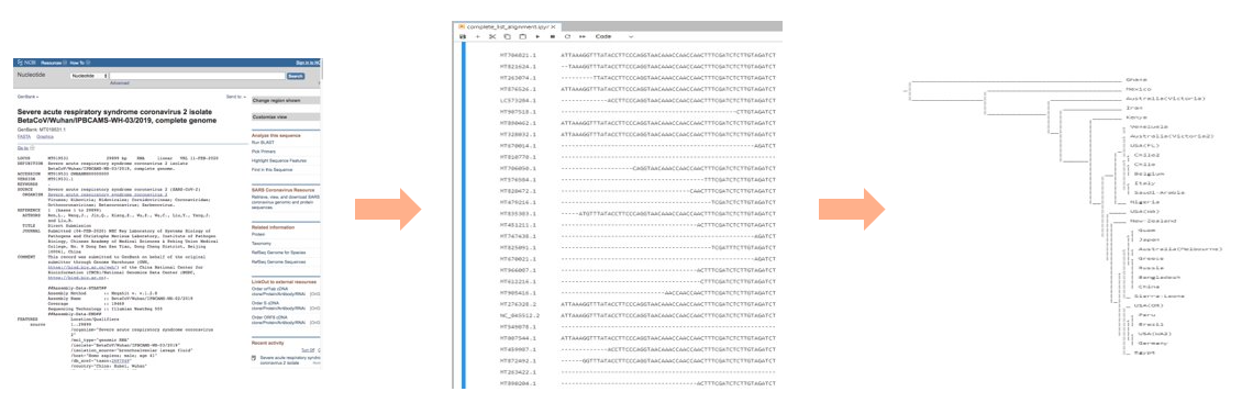 GitHub - Baegarden/StudyProject-8: 🧬 Bioinformatics를 통한 COVID-19 염기서열 데이터 분석 및 응용