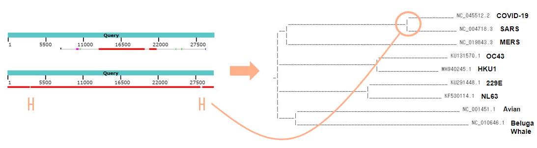 GitHub - Baegarden/StudyProject-8: 🧬 Bioinformatics를 통한 COVID-19 염기서열 데이터 분석 및 응용
