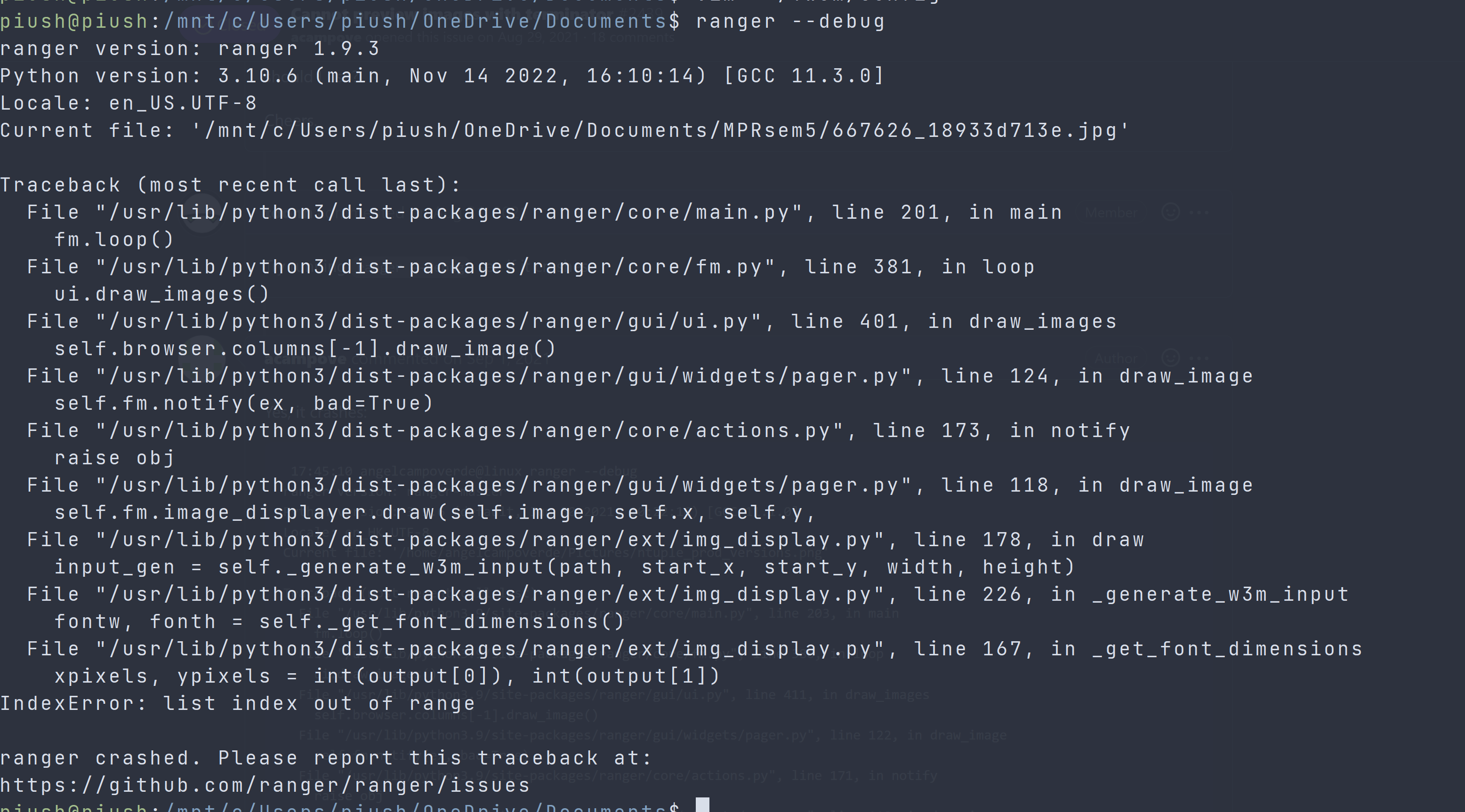 Error Displaying image in ranger using w3m · Issue #2764 · ranger/ranger · GitHub