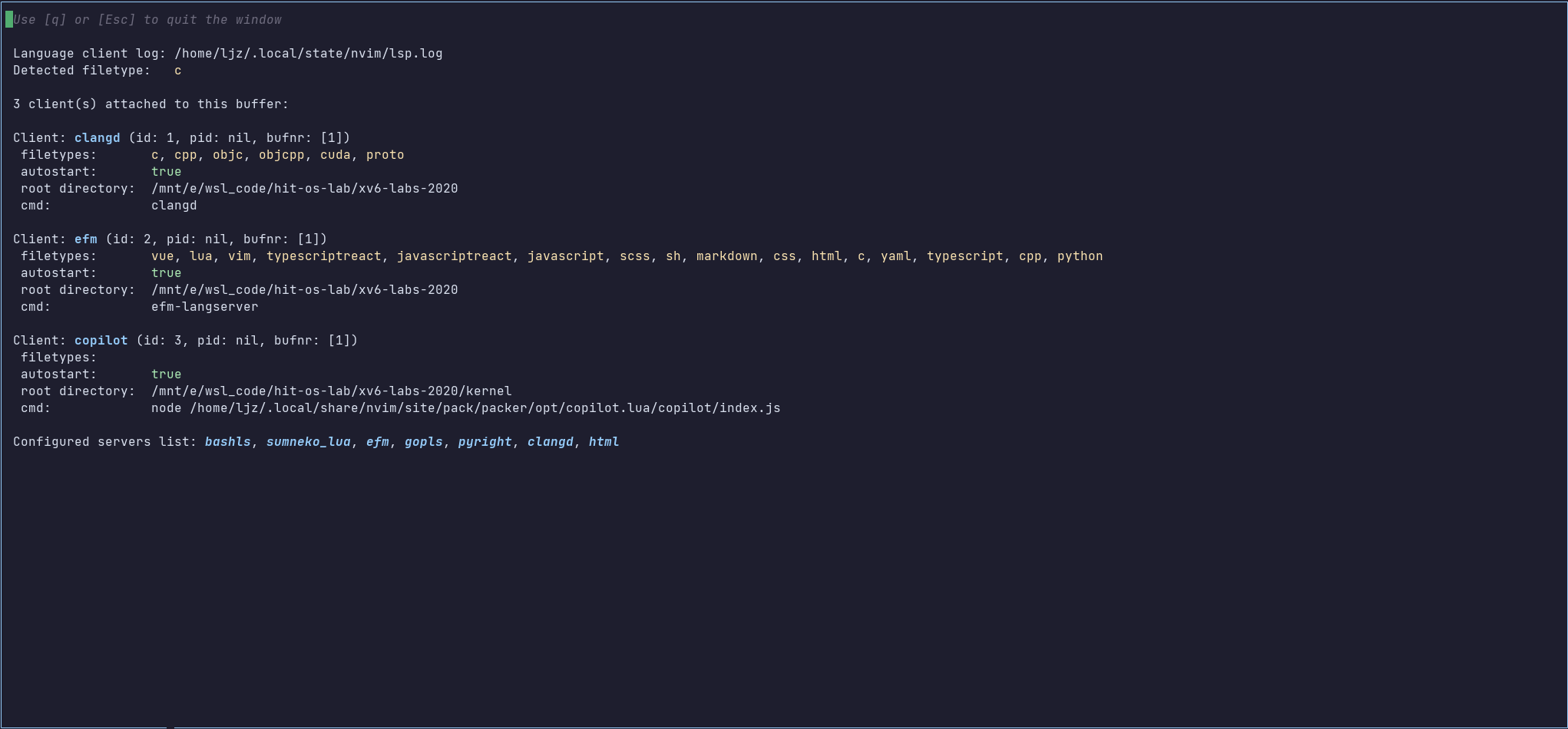 warning: multiple different client offset_encodings detected for buffer, this is note supported ...