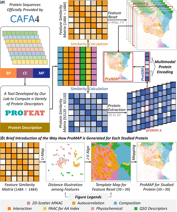 GitHub - idrblab/AnnoPRO: Feature map and function annotation of Proteins