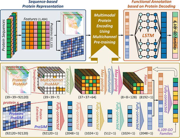 GitHub - idrblab/AnnoPRO: Feature map and function annotation of Proteins