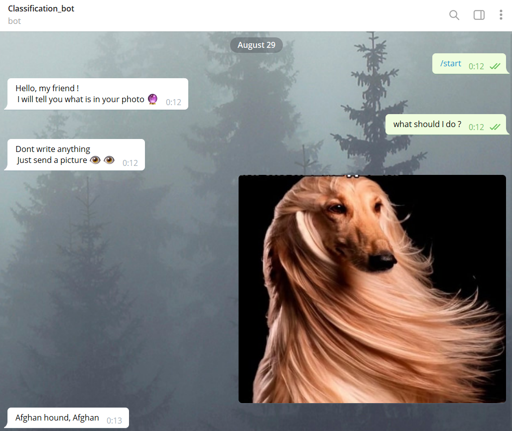 GitHub - RuslanShamsulov/TelegramBot-AI: Telegram bot that can classify ...