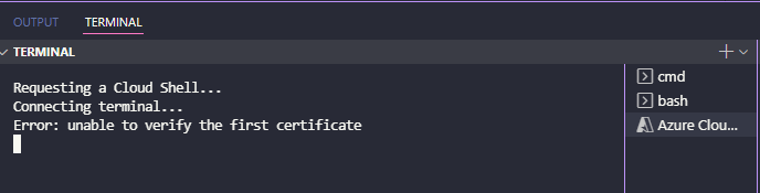 Connecting terminal... Error: unable to verify the first certificate ...