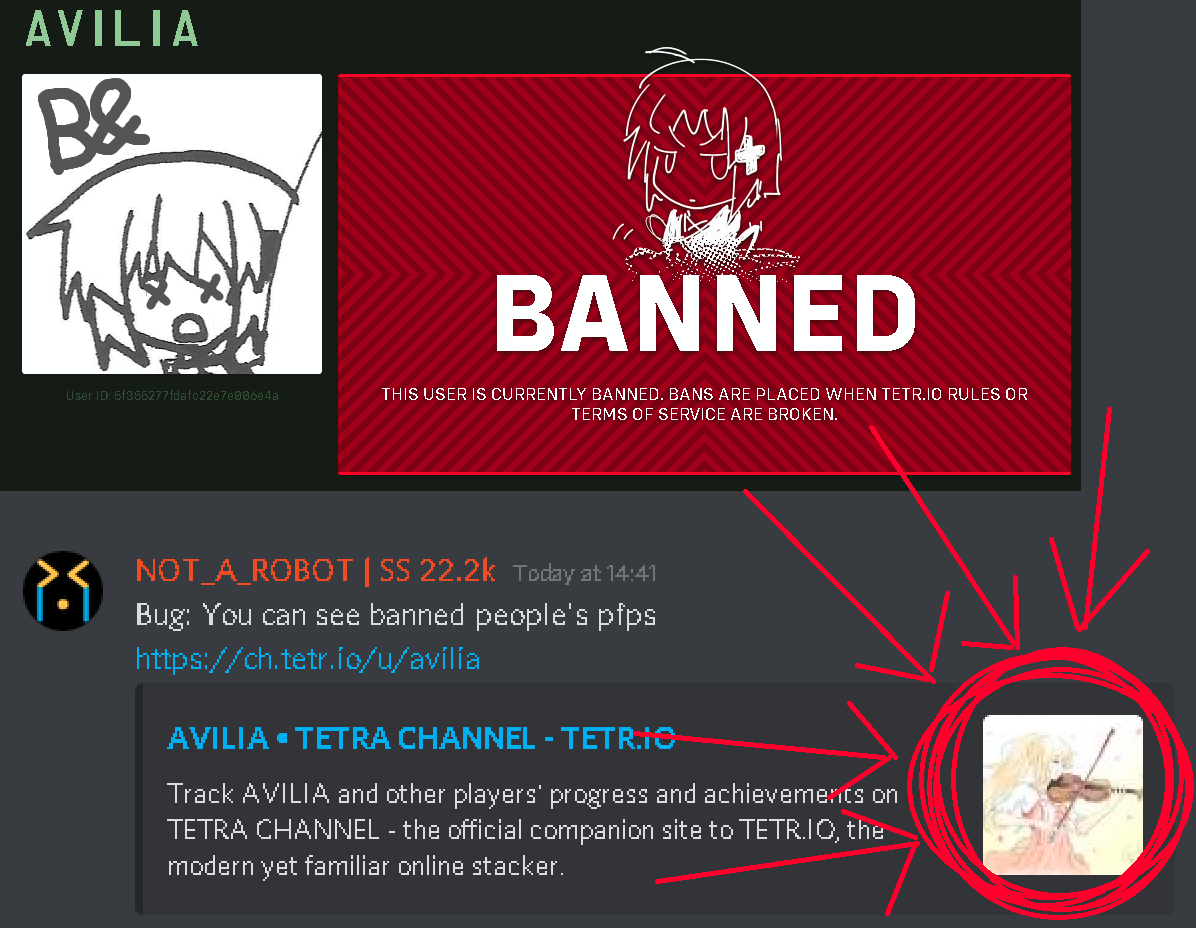 You can see banned people's profile pictures · Issue #727 · tetrio ...