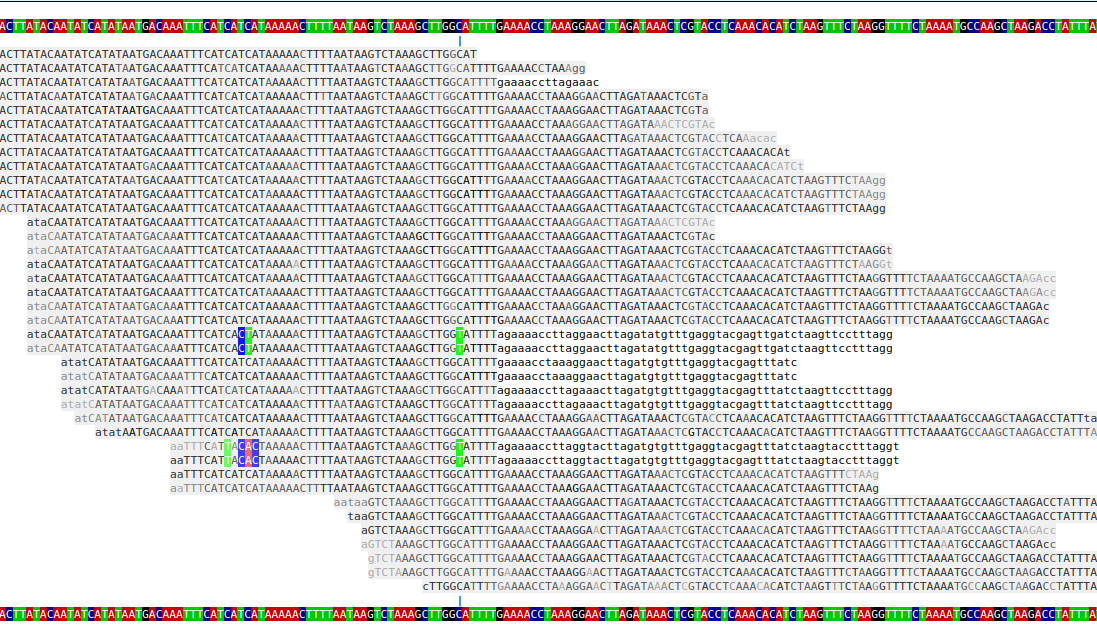 Question Regarding Read Alignment Option: --require-match-fraction · Issue #150 · barricklab ...