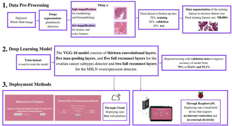 GitHub - samairamehta/OVision: OVision: Automatic Assessment of Ovarian ...
