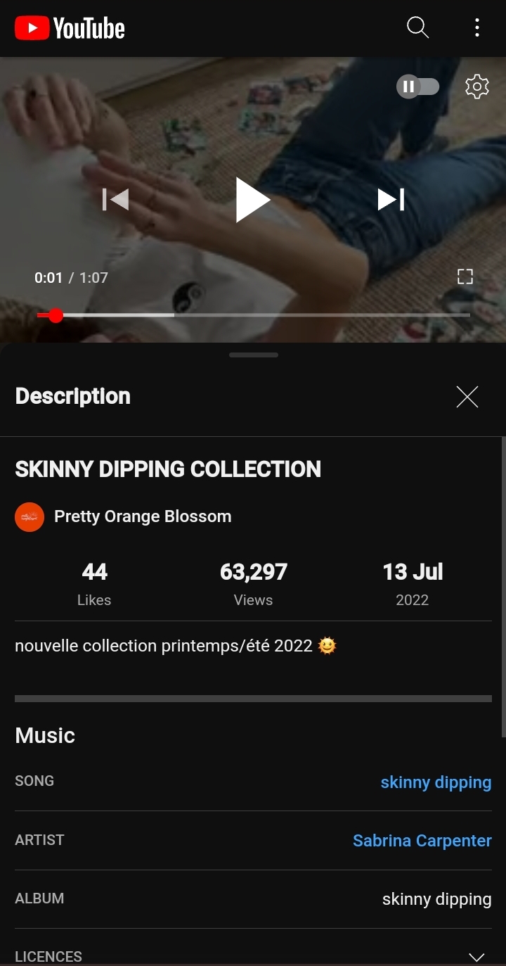 Show Music in video in description · Issue #2577 · TeamPiped/Piped · GitHub