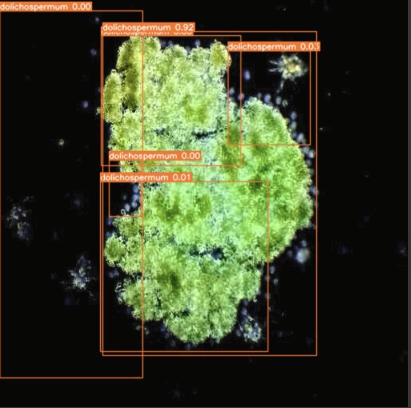 YOLOv5 conf thresh and iou thresh inquiry · Issue #11652 · ultralytics/yolov5 · GitHub