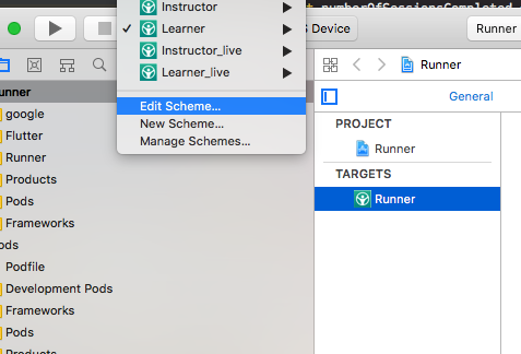 iOS Arguments on Launch not working · Issue #17043 · flutter/flutter · GitHub