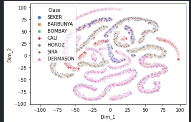 GitHub - vibhorag101/Dry-Bean-Prediction: This project aims to solve the problem of ...