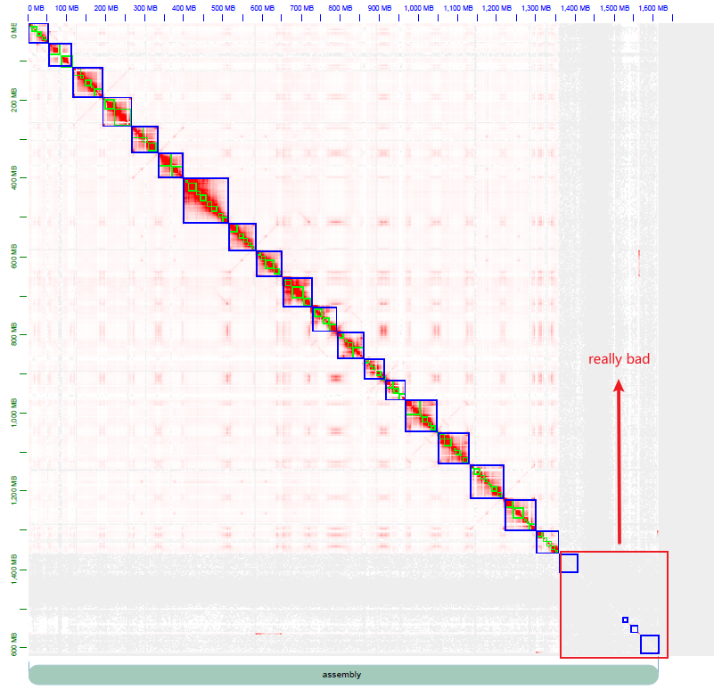 hifiasm's output with Hi-C Integrated Assembly model works badly in juicer and 3ddna pipeline ...
