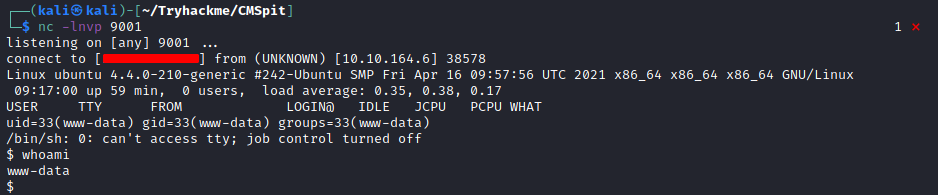 Tryhackme_WriteUps/CMSpit.md at main · Argonauta666/Tryhackme_WriteUps · GitHub