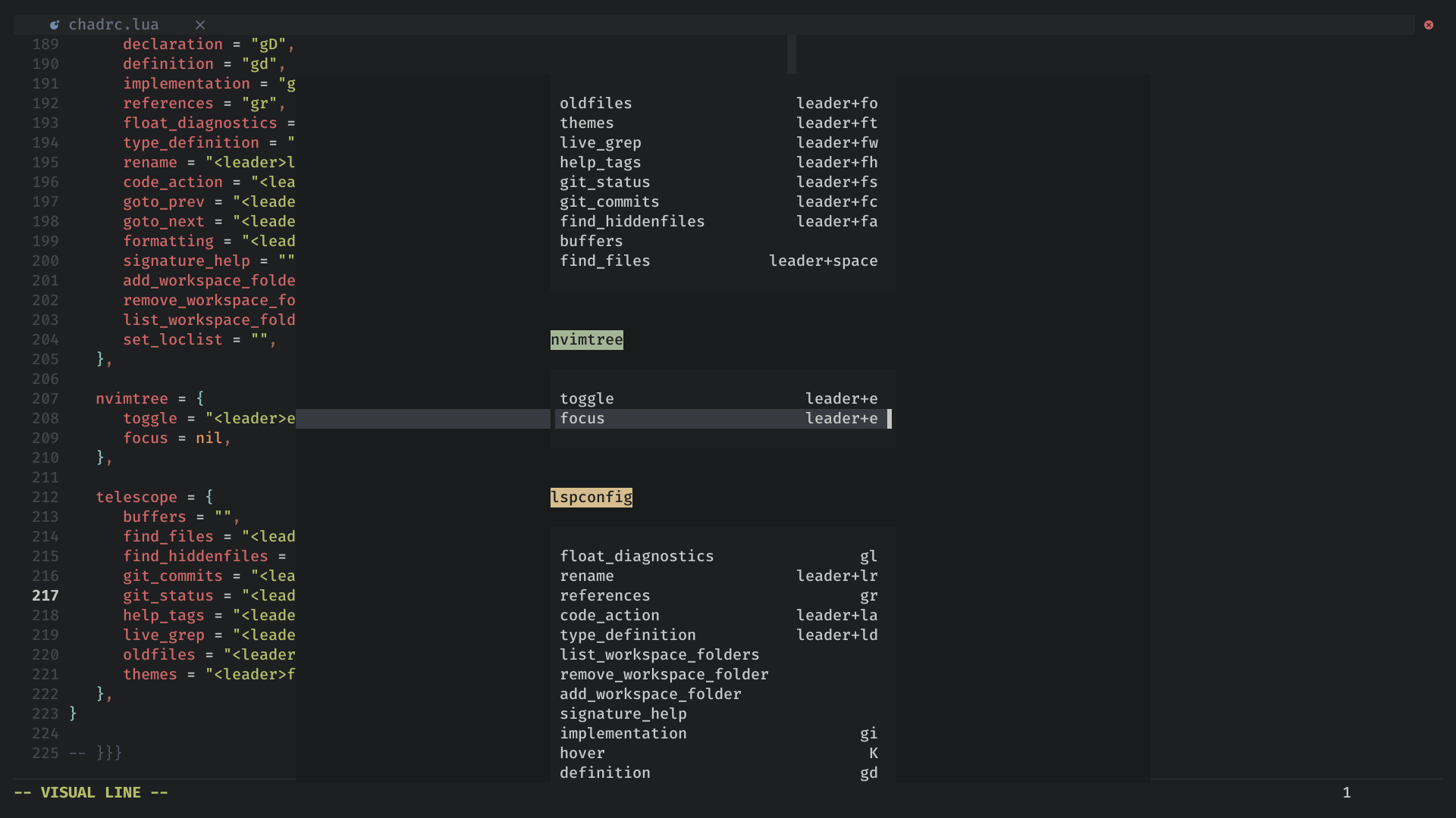 The `nil` and `false` keywords in the `chadrc.lua` file. · Issue #860 · NvChad/NvChad · GitHub