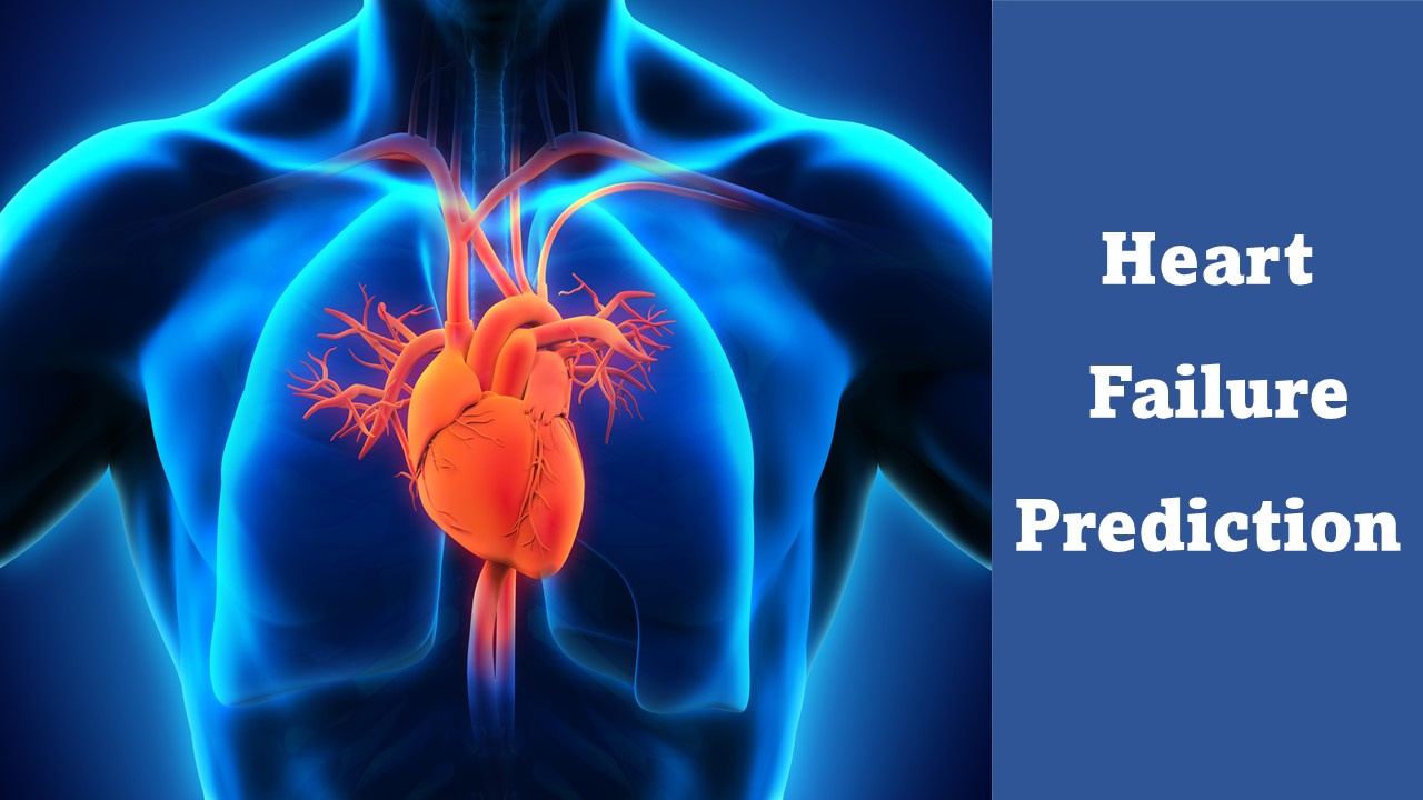 GitHub - Eman-Hamied/Heart_Failure_Database