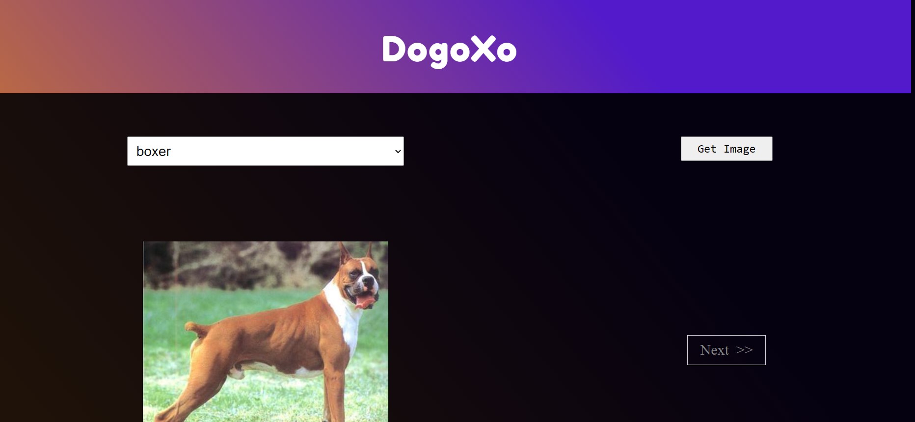 GitHub - SaMs-Hub/DogoXo: JS based Web app