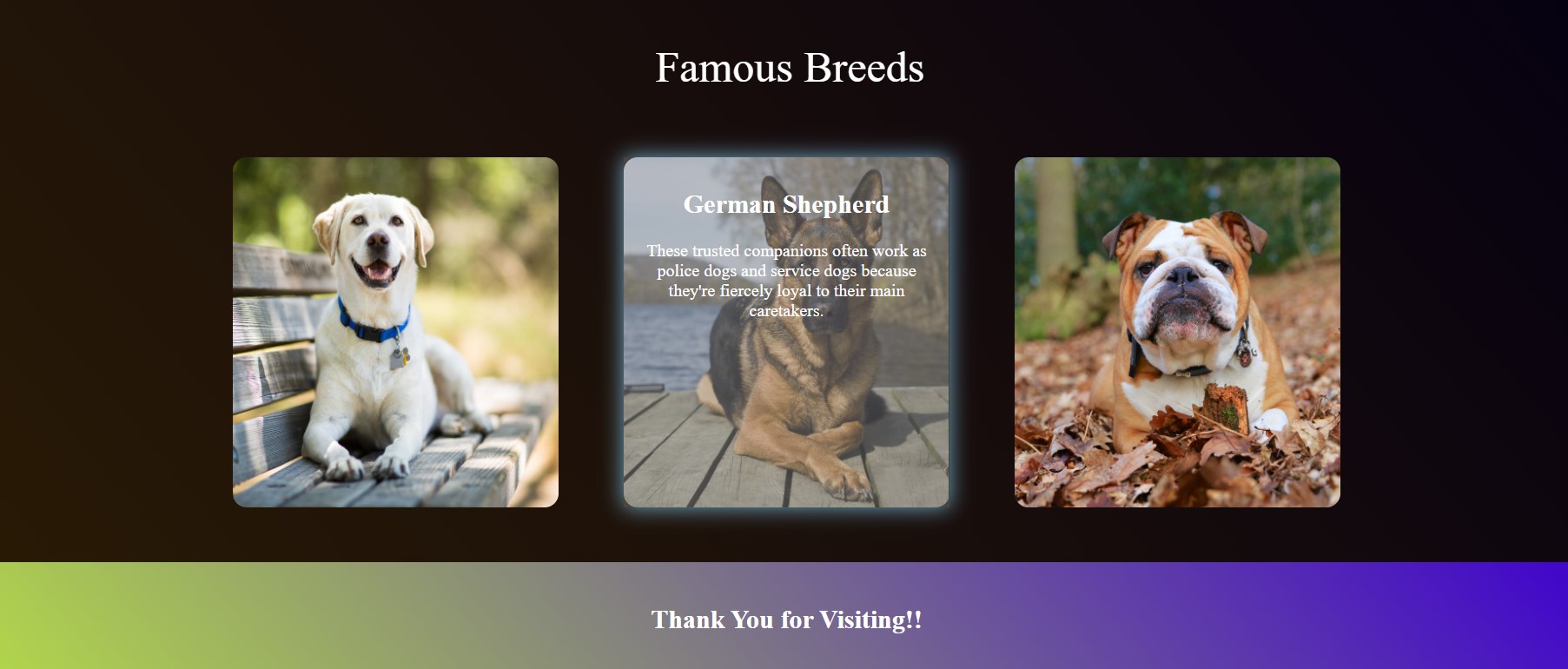 GitHub - SaMs-Hub/DogoXo: JS based Web app