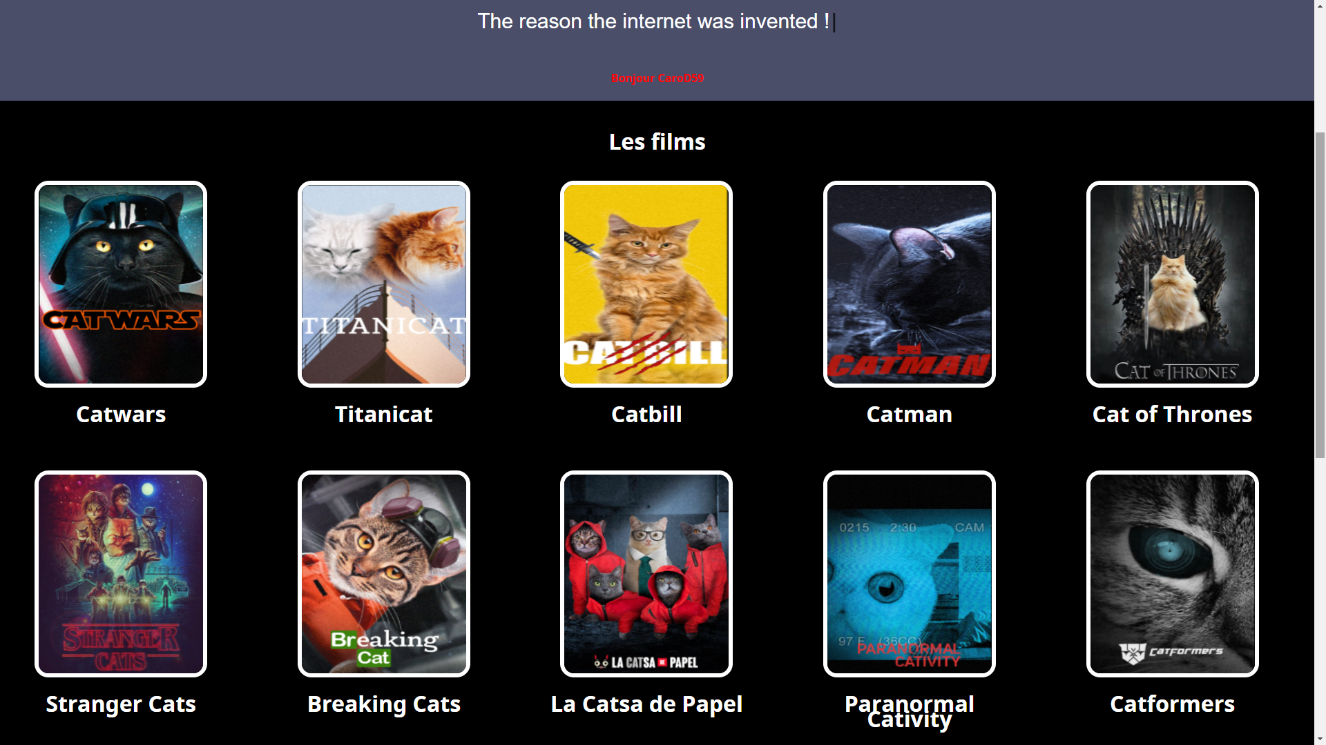 GitHub - NicoP59/Catflix