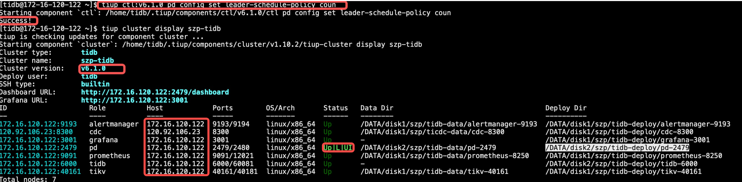 pd-server doesn't have option validation leads tidb cluster broke when ...
