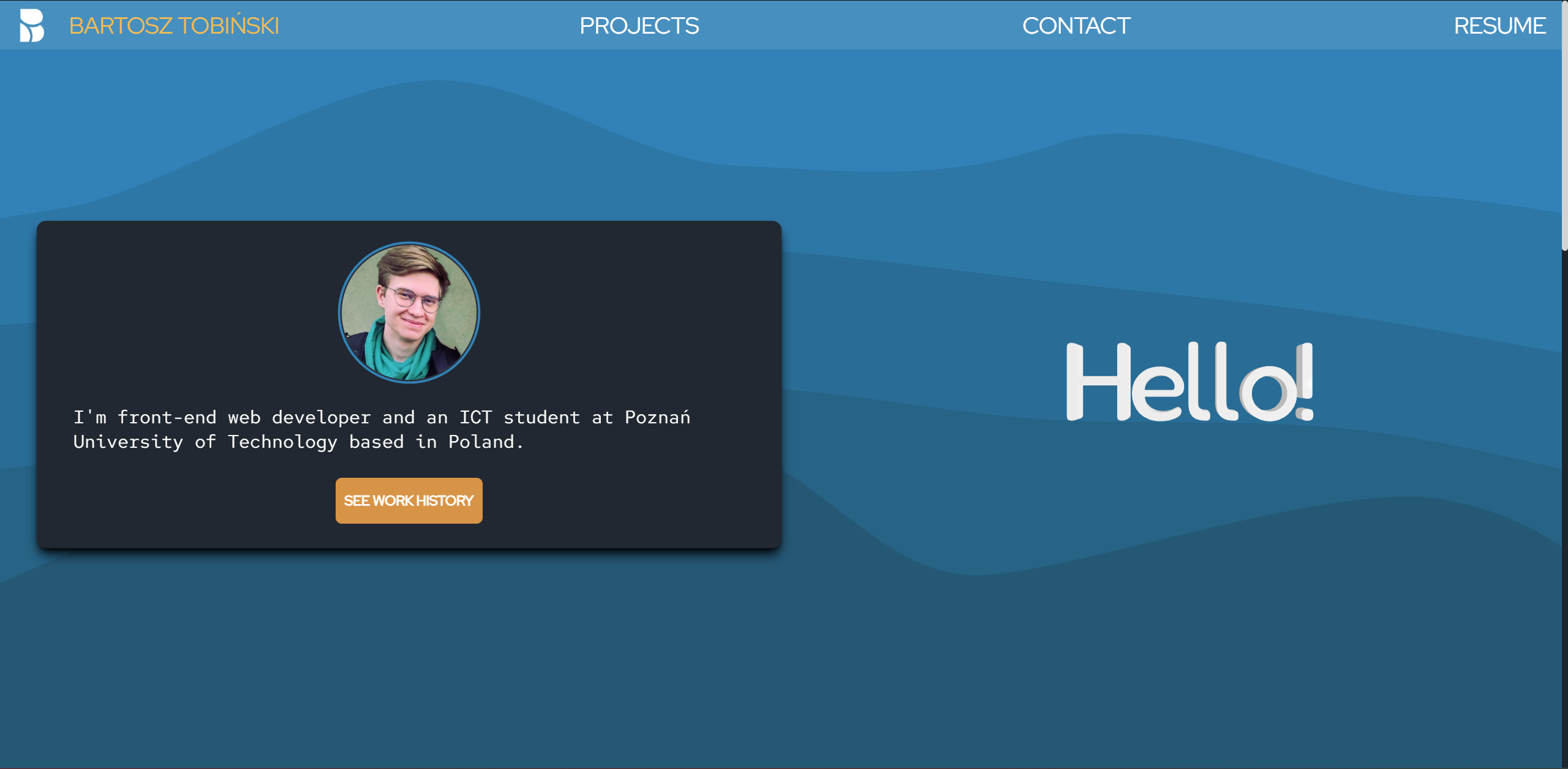 GitHub - bttobi/portfolio: My portfolio website