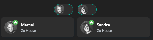 Status not shown anymore · Issue #35 · gerardag/person-entity-card · GitHub