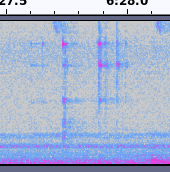 FFT window size setting · Issue #91 · ecomontec/ecoSound-web · GitHub