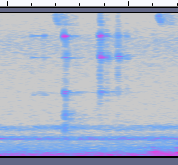 FFT window size setting · Issue #91 · ecomontec/ecoSound-web · GitHub