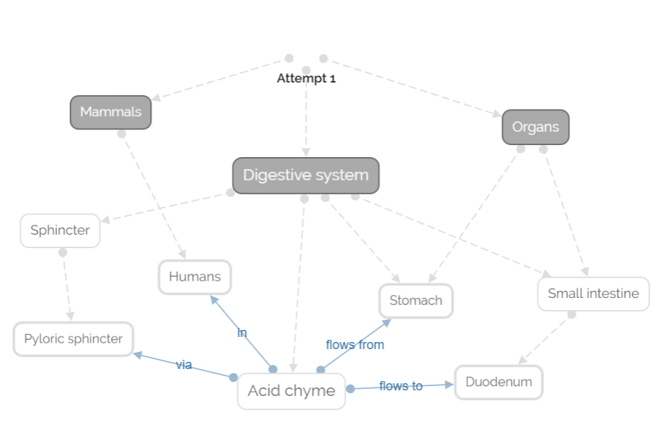 Digestive System Concept Map