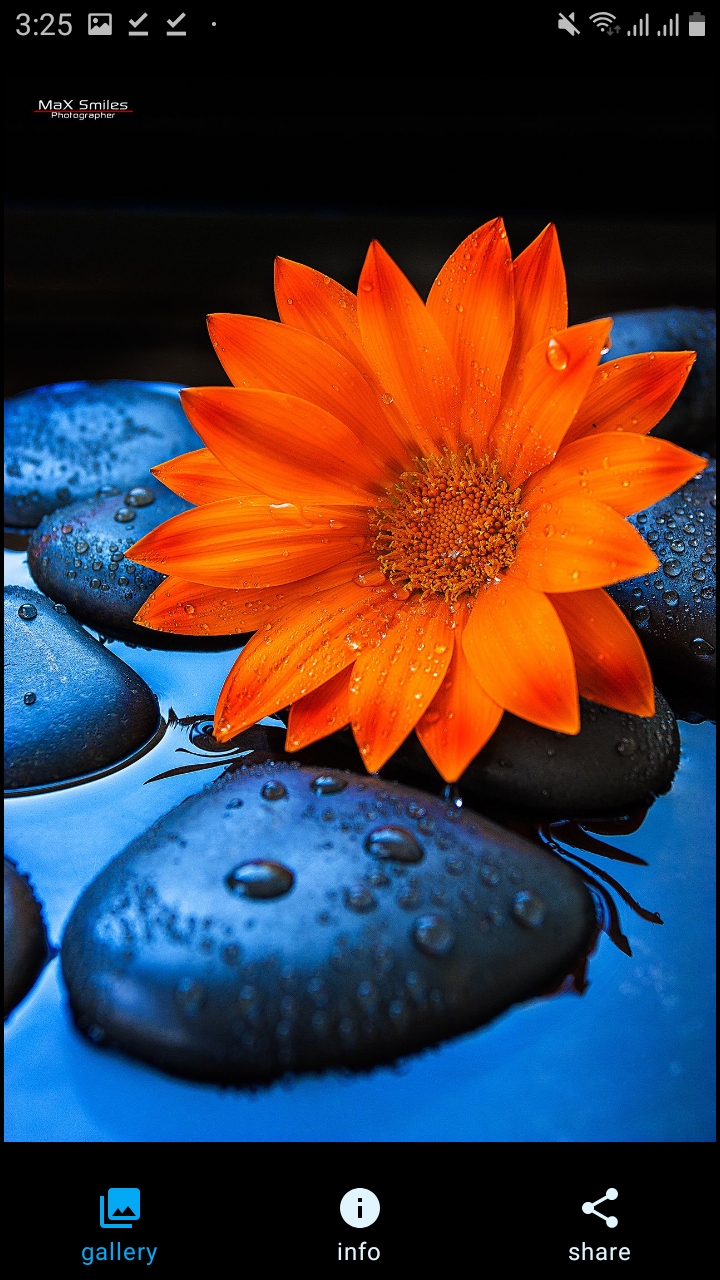 GitHub - Lamun365/LexoGallery