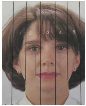 GitHub - yousrajnahi/Facial-symmetry-estimation: This project detect facial features such as the ...