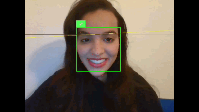 GitHub - yousrajnahi/Facial-symmetry-estimation: This project detect ...