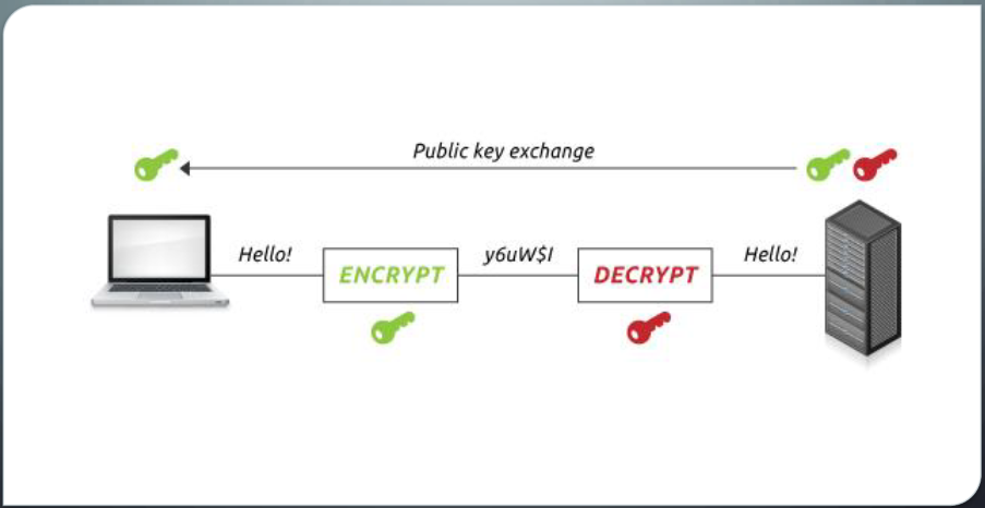 GitHub - 7ossam-Ashraf/ENC-DEC-TEA-