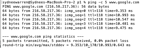 Project 1 | cit281-p1