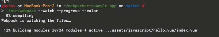 Webpack watch command · Issue #1062 · rails/webpacker · GitHub