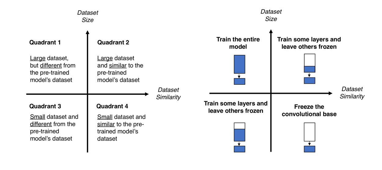 Option to unfreeze encoder layers when training a computer vision model · Issue #3733 · ludwig ...