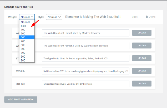 🚀 Feature Request: Display the name of the font weight also in the Custom Font interface · Issue ...