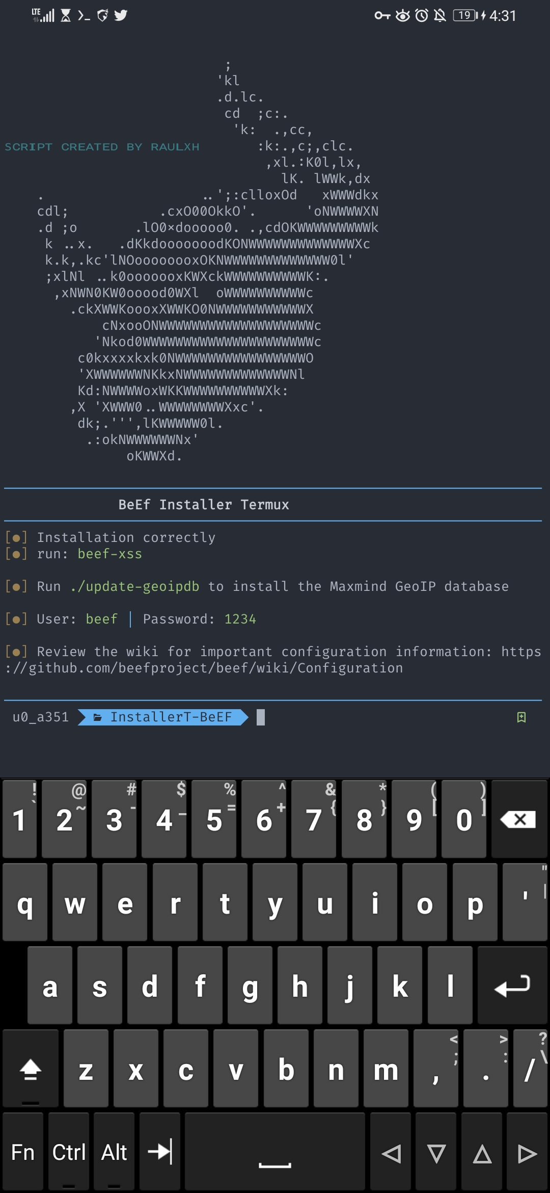 GitHub - RaulXH/InstallerT-BeEF: Installer of the BeEf tool in termux. Adaptation of packages ...