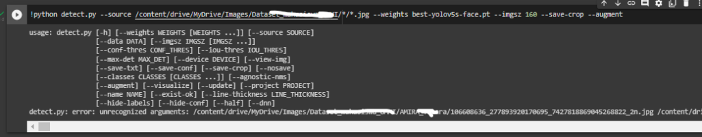 Unrecognized argument in detect.py (Source Folder in google drive) · Issue #8381 · ultralytics ...