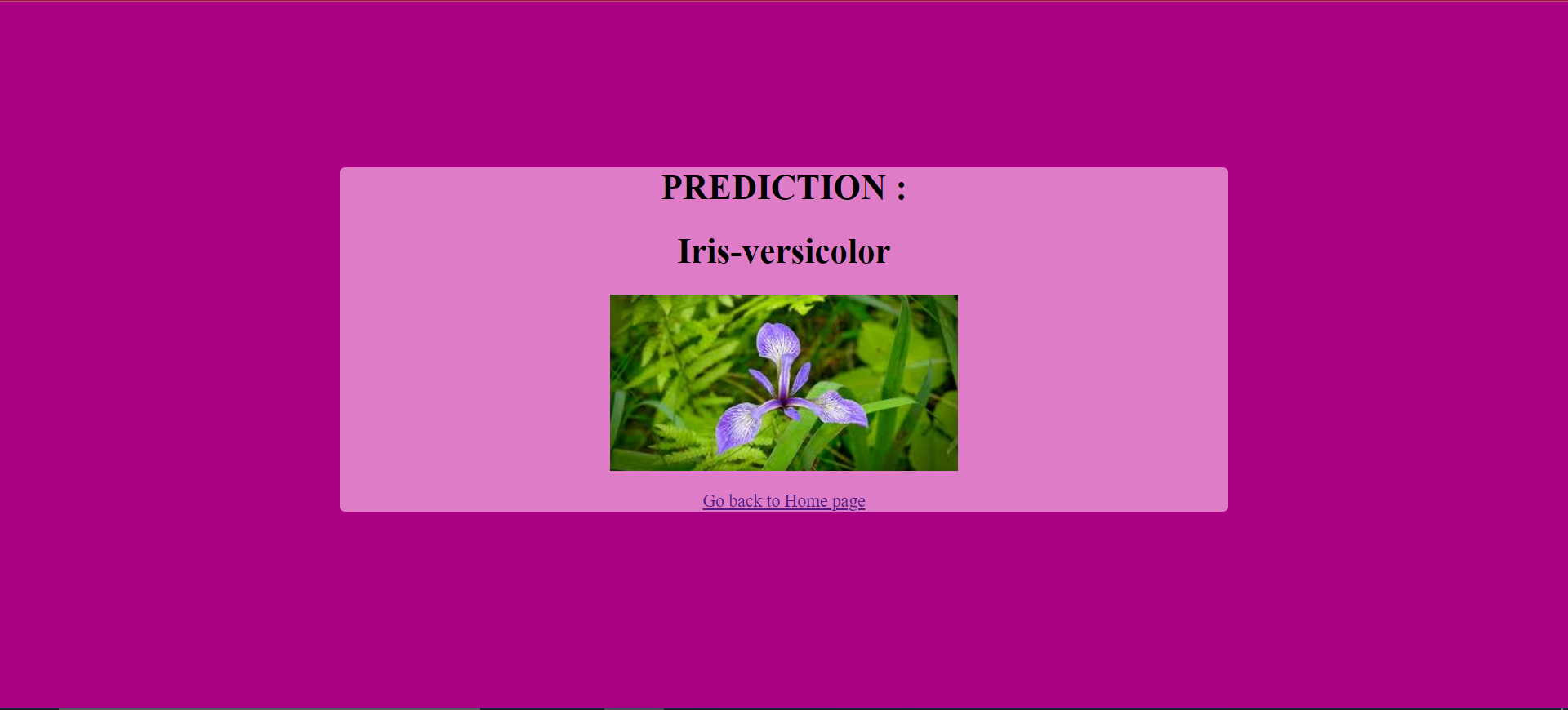 GitHub - Abdul-Hafeez-Galib/Iris-Flower-Detection-WebApp