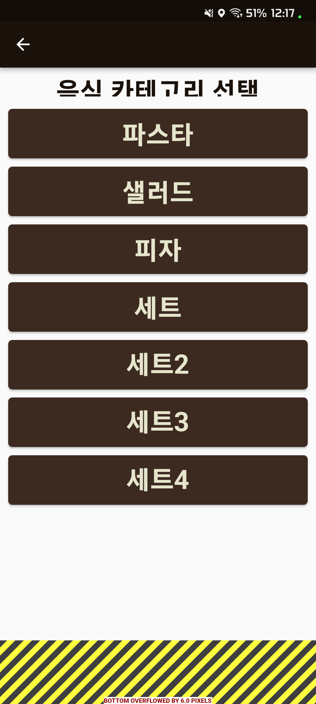 Bugs about overflow and camera · Issue #18 · GDSC-CAU/Blinder · GitHub