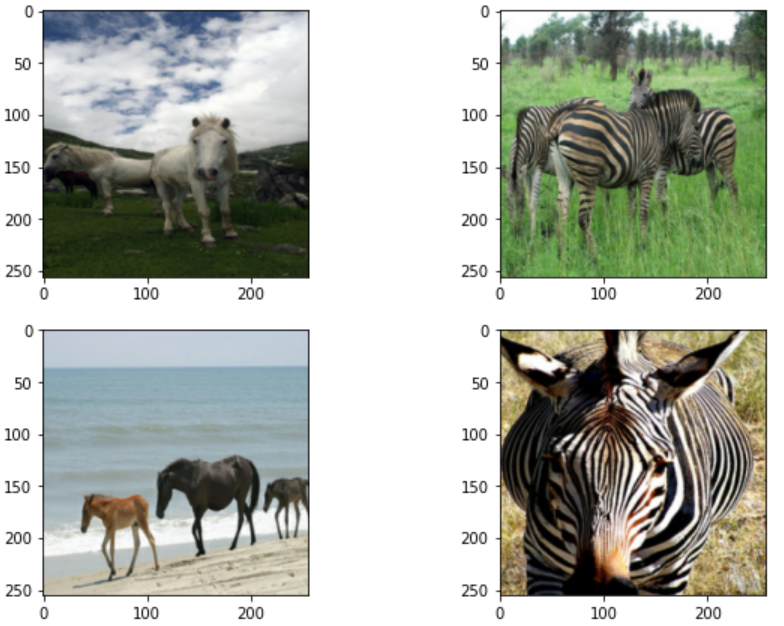 GitHub - kingmust2001/CycleGan---horses-to-zebras