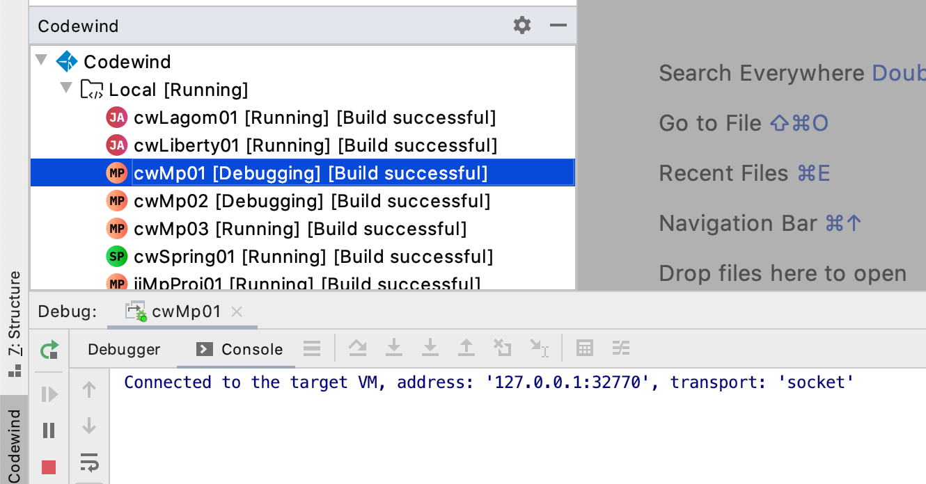 Intellij Finalize Icons For Debugger Tab · Issue 2530 · Eclipse Archivedcodewind · Github