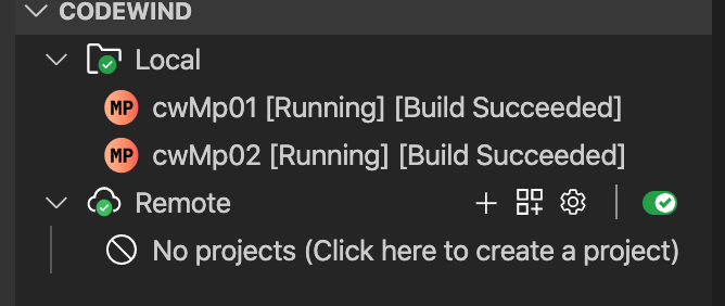 Eclipse Remote Connection Does Not Appear In Codewind Explorer · Issue 2832 · Eclipse
