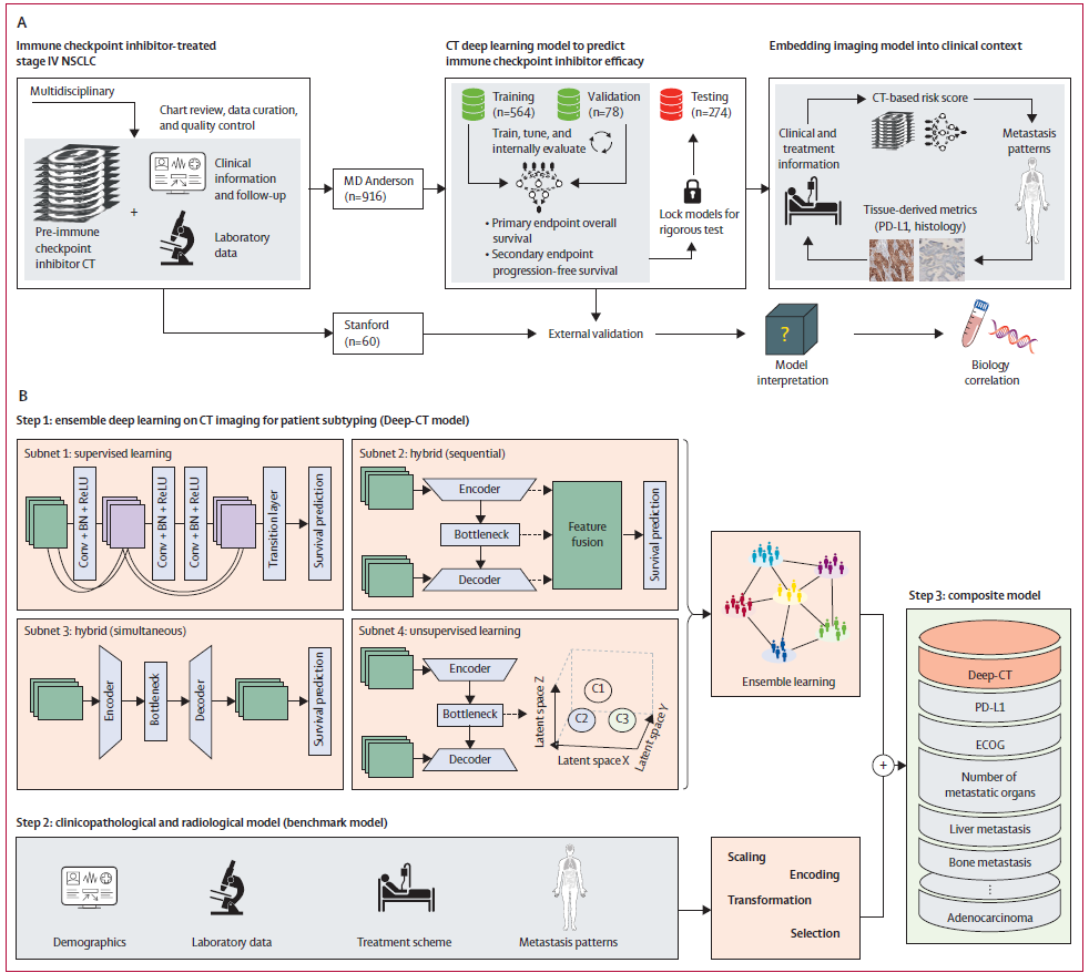 GitHub - WuLabMDA/Deep_CT-prognostic-biomarker