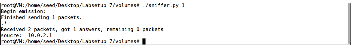 GitHub - Marcokorcak/Network-Sniffing-and-Spoofing