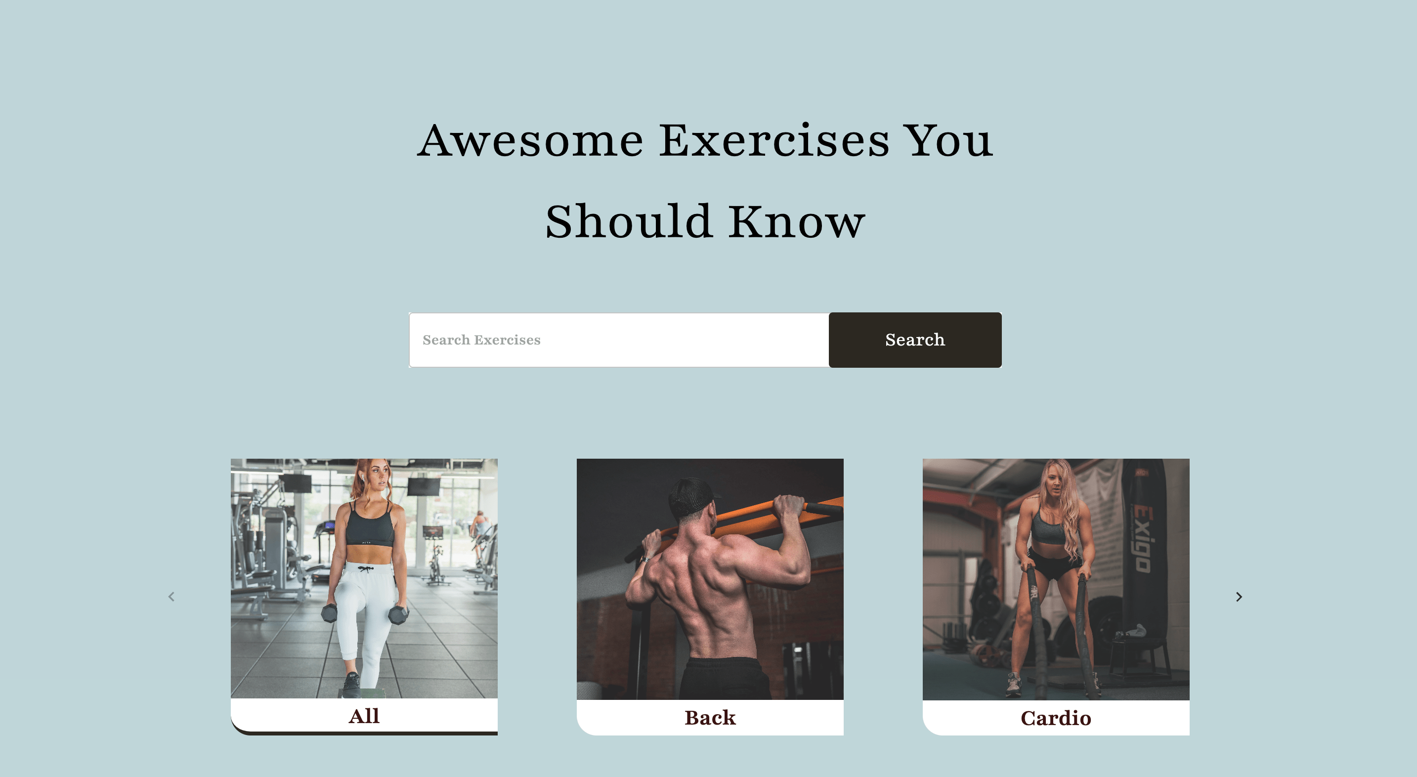 GitHub - lattapanr/fitness-pal: Fitness Pal is a comprehensive web app for exercises and ...