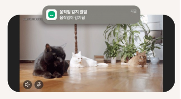 GitHub - kyh0885/iot_mini_project: iot_mini_project