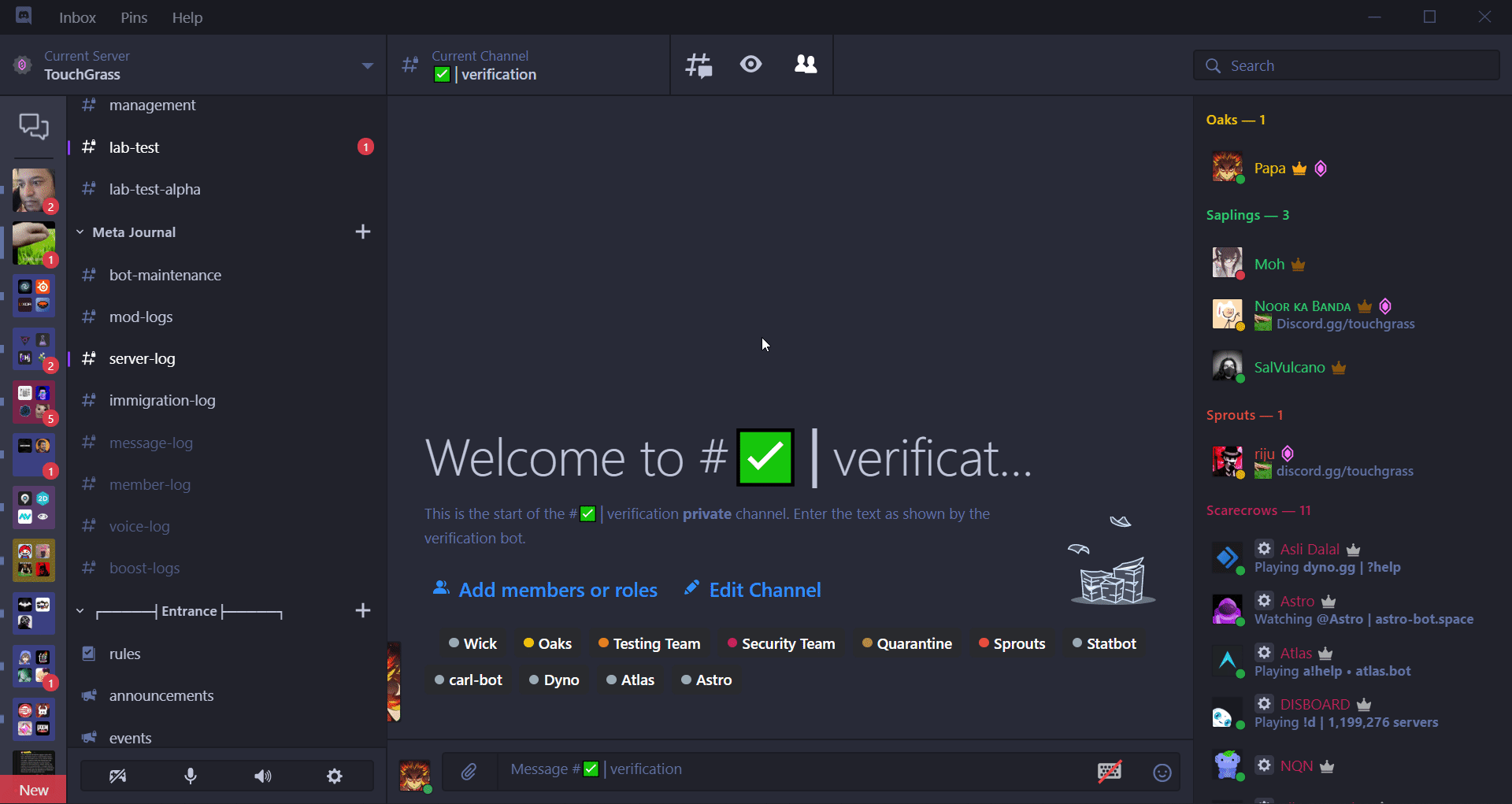 Settings modal for roles blocks/hides roles list · Issue #63 · DiscordStyles/Slate · GitHub