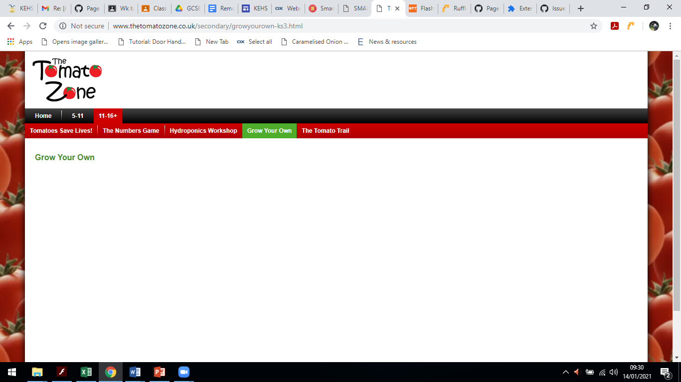Page won't load · Issue #2441 · ruffle-rs/ruffle · GitHub