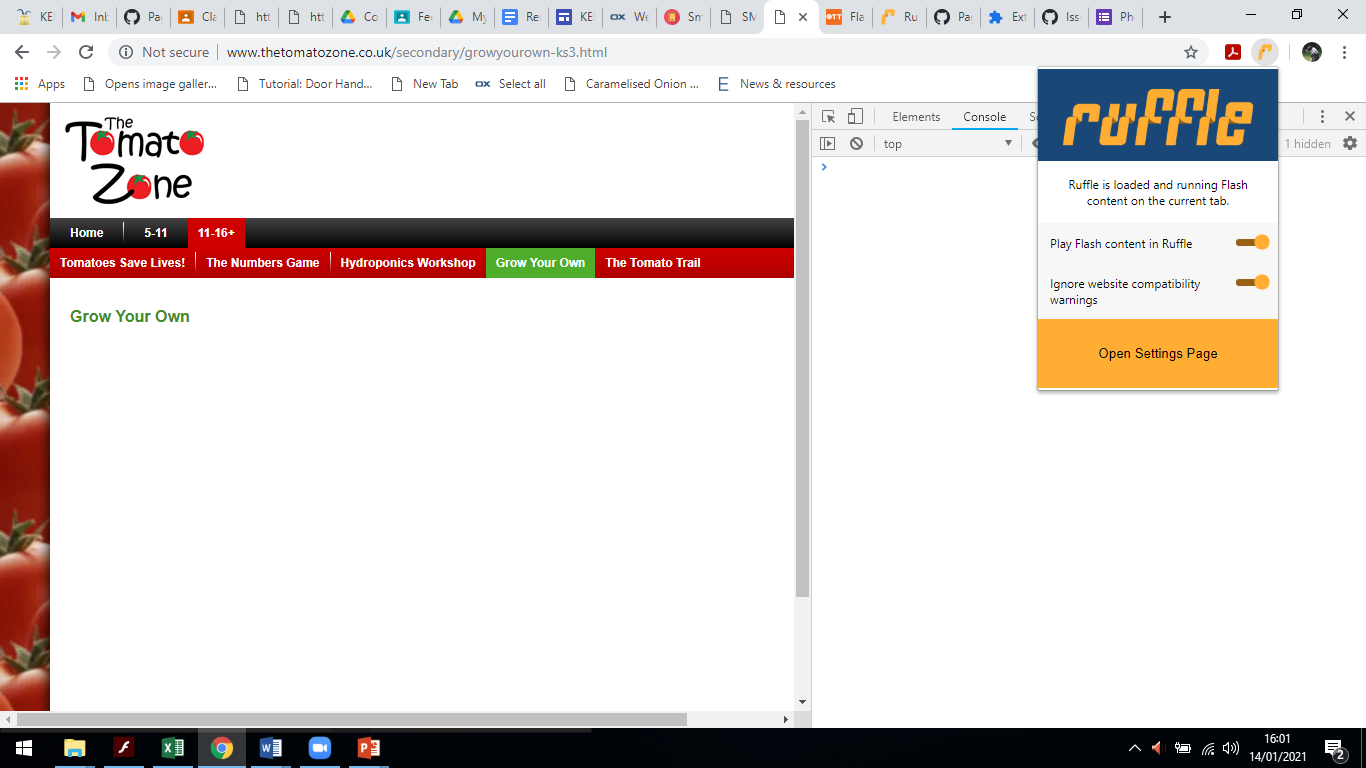 Page won't load · Issue #2441 · ruffle-rs/ruffle · GitHub